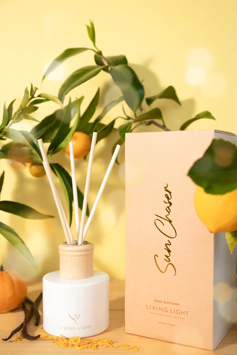 Living Light Reed Diffuser - Sun Chaser – Eleventh Hour